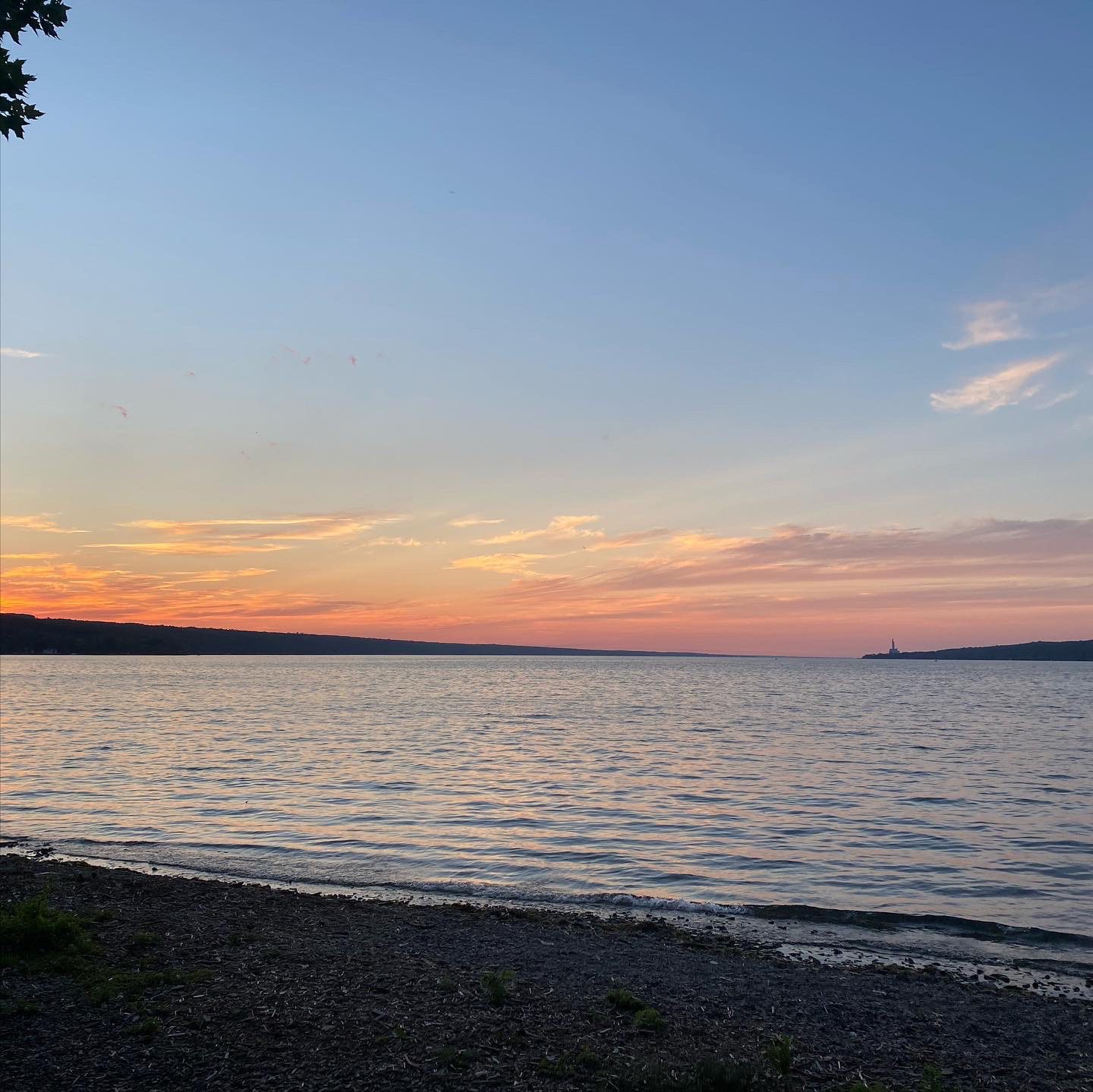 Contact - BioSurvey Group