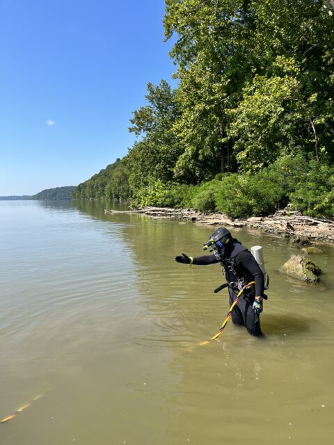 Freshwater Mussels - BioSurvey Group