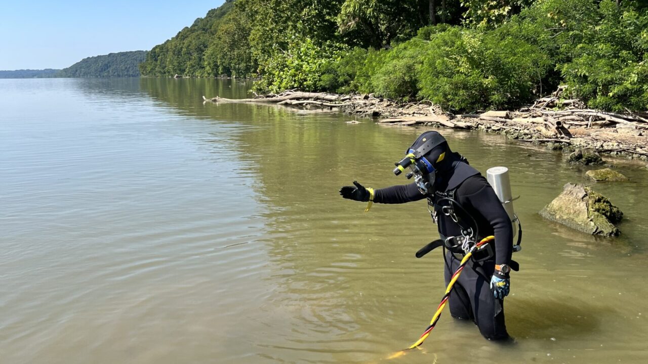 Freshwater Mussels - BioSurvey Group