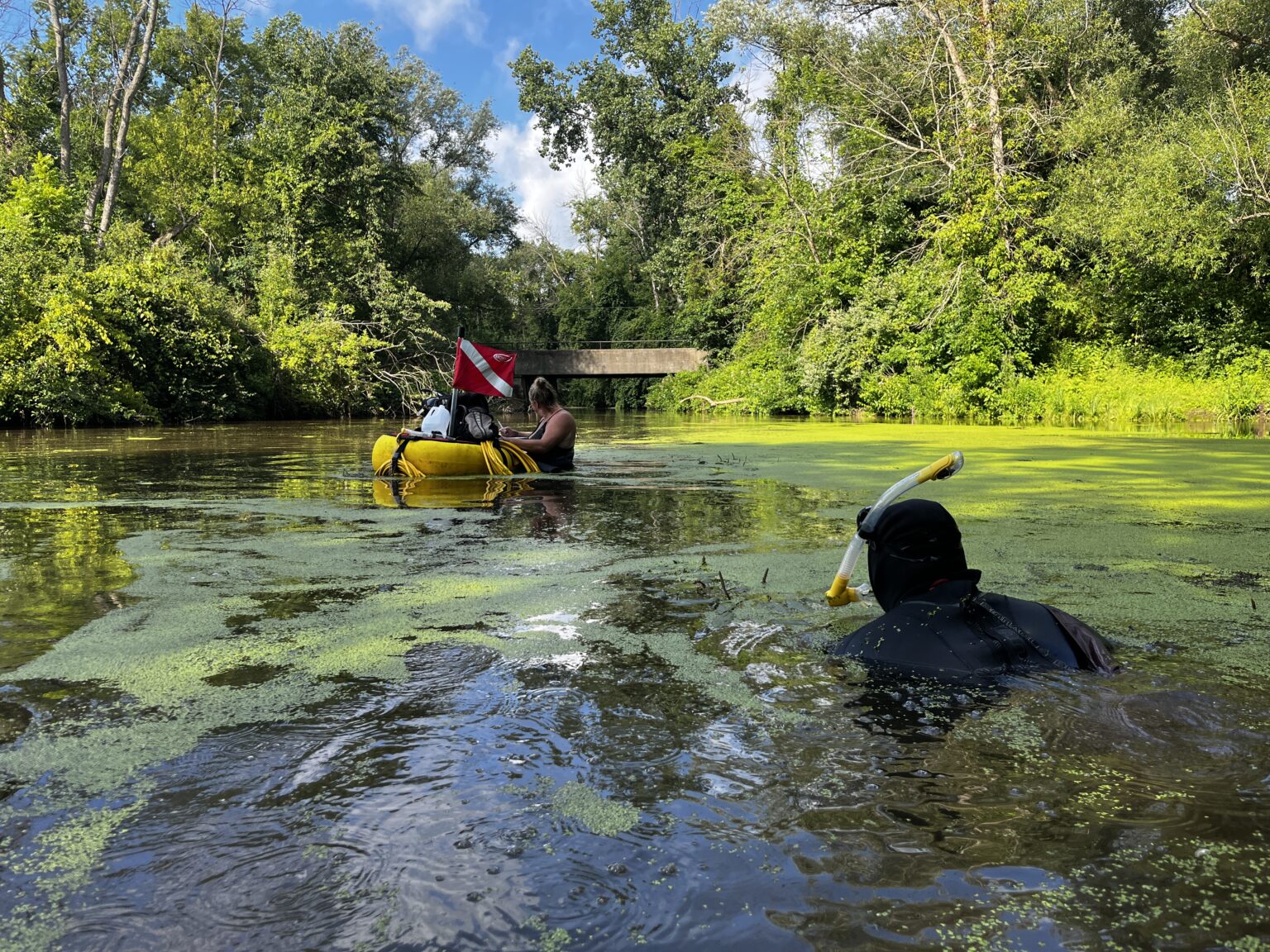 Key Projects - BioSurvey Group
